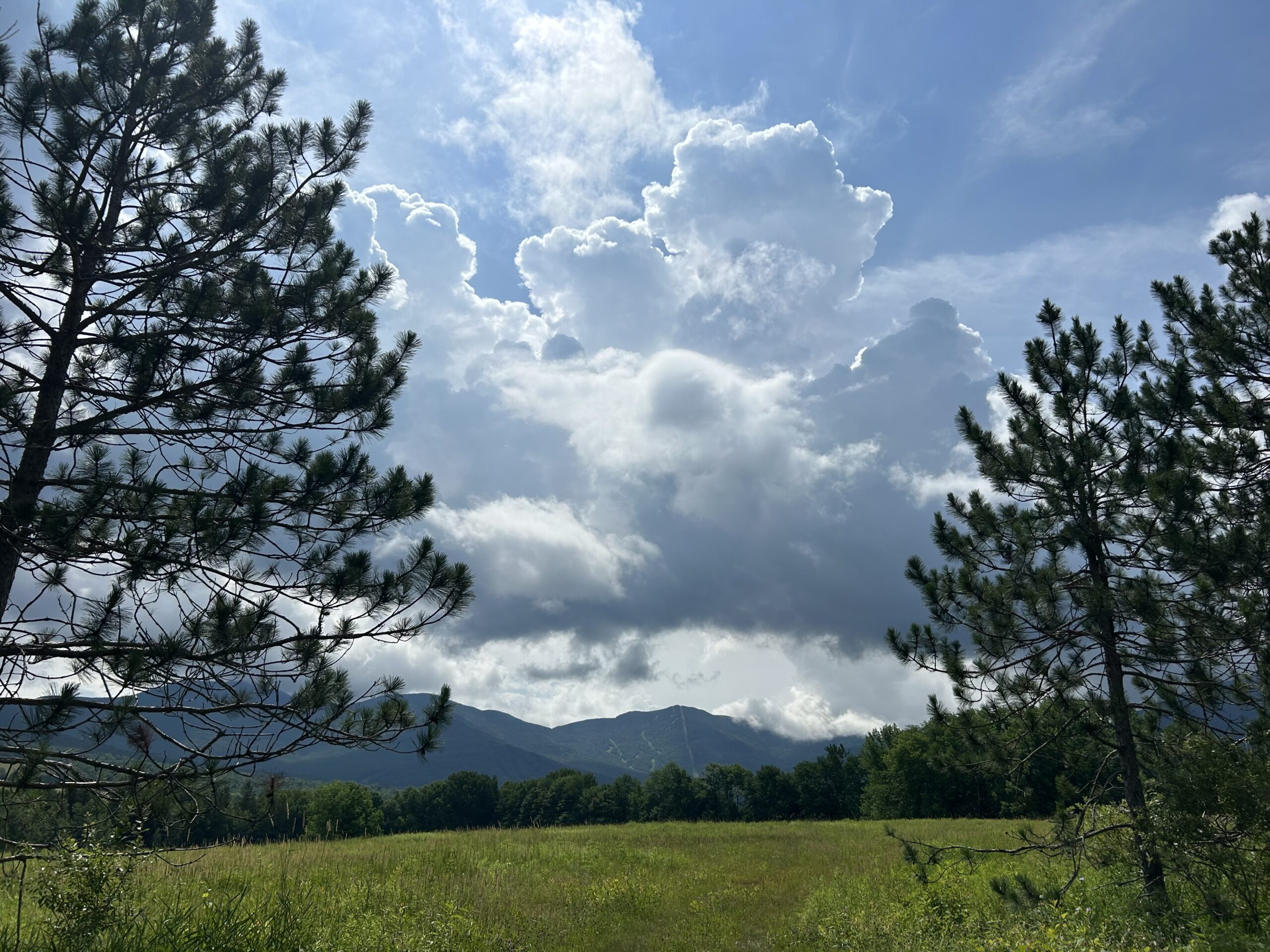 We Still Need The Tender Science - John Chaffee MDiv/ThM