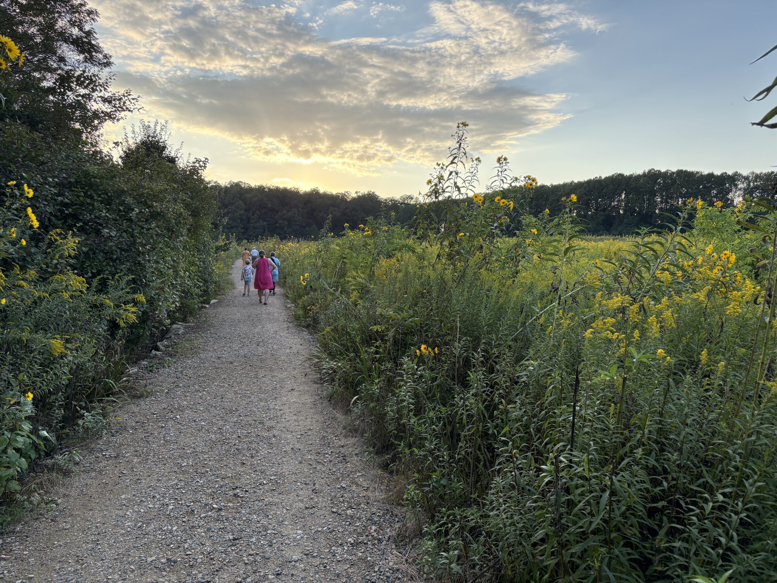 Blog - John Chaffee MDiv/ThM